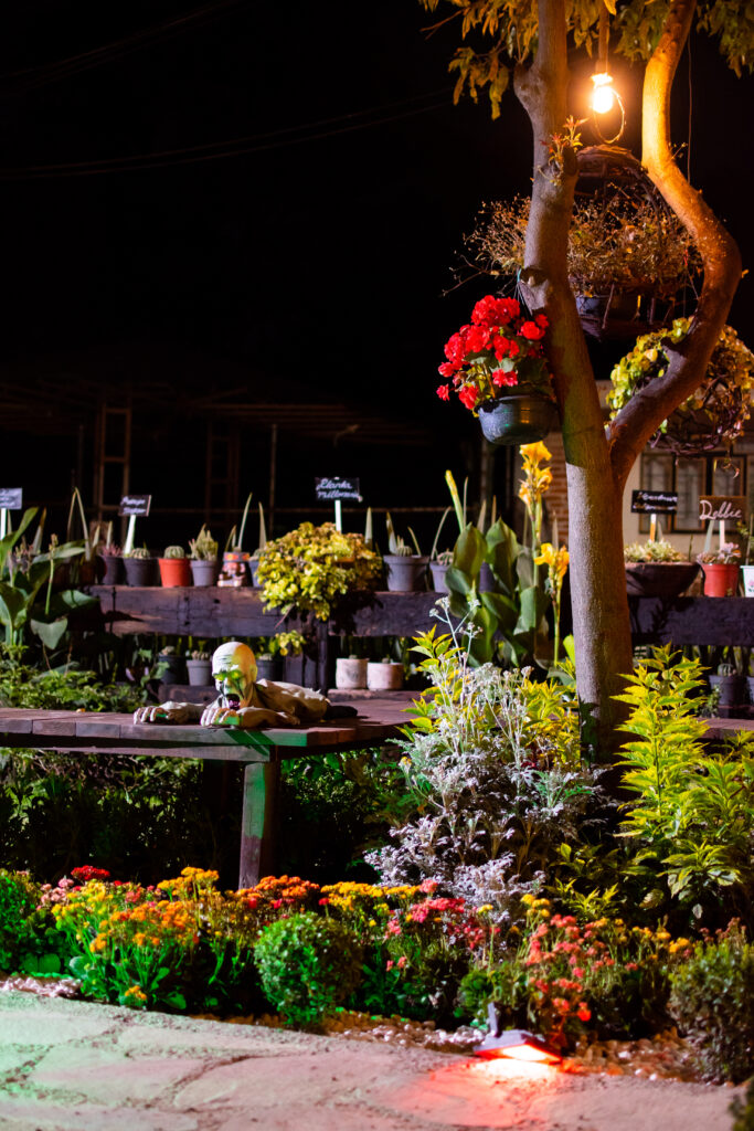 Restaurante - Espíritu Inquieto